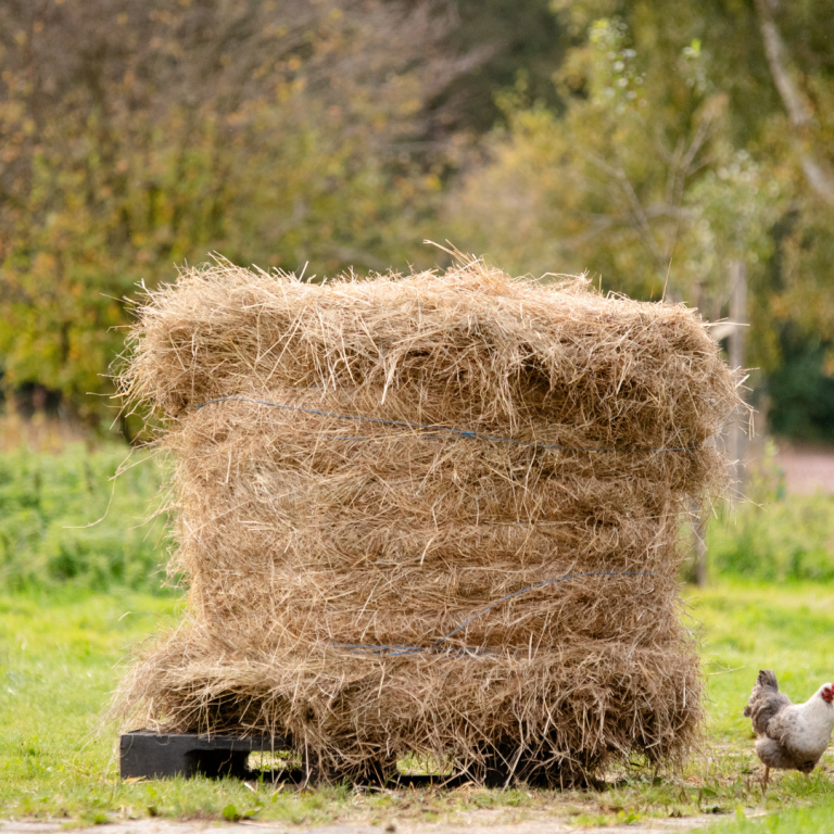 Frans en Duits weidehooi | Laag in suikers | Tophooi