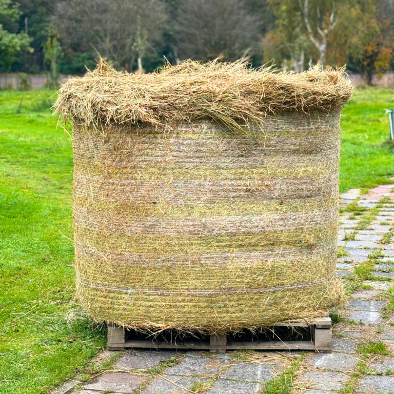 Frans en Duits weidehooi | Laag in suikers | Tophooi